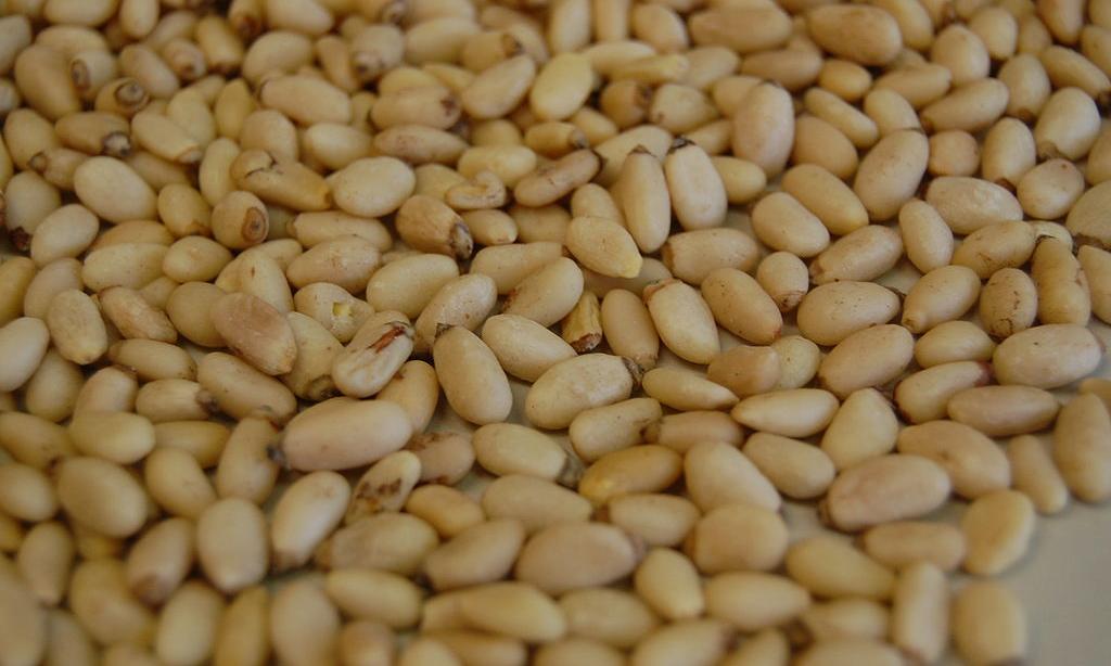 Piñones crudos secos