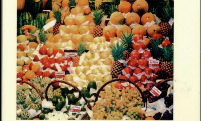 Diet and Health - Foundation G+E