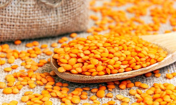 Lentejas rojas, crudas (Erve, lentejas de cocina) | Fundación G+E