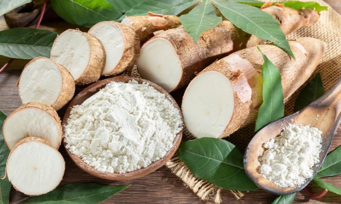 Nutrientes para la Almidón de tapioca (¿orgánico?, ¿crudo?) | Fundación G+E